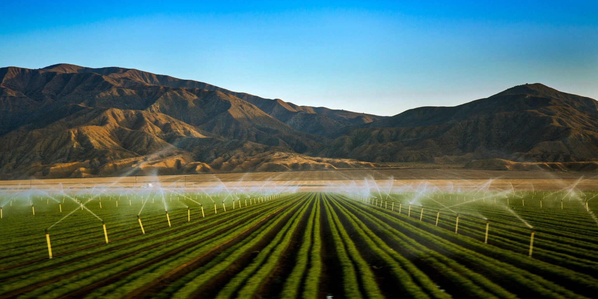 Nevada’s 2025 State Fair: A Celebration of Agriculture and Innovation ...